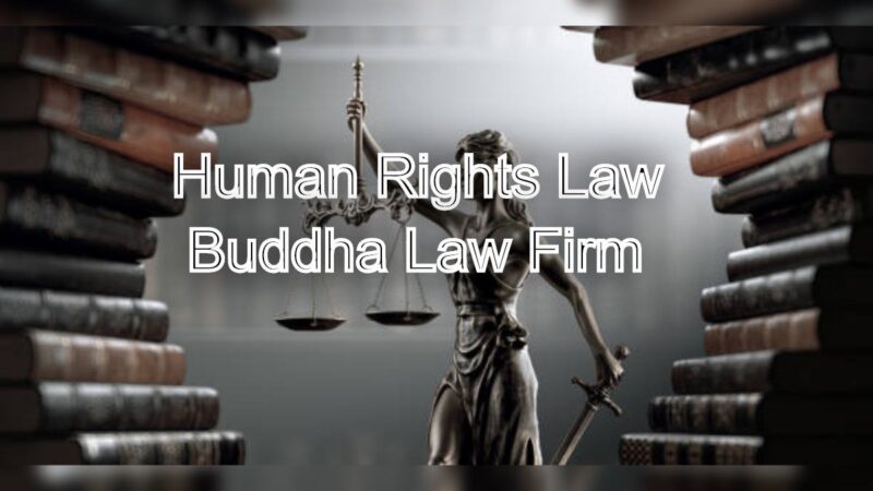 Human Rights Law: Global Challenges and Universal Principles